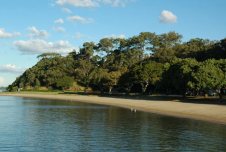 Dental Practices | Practice Sale Search